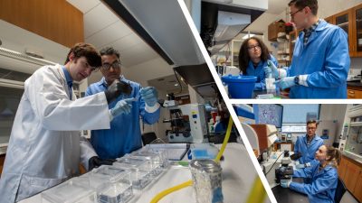 Home | Smith Lab for Pulmonary Immunotoxicology